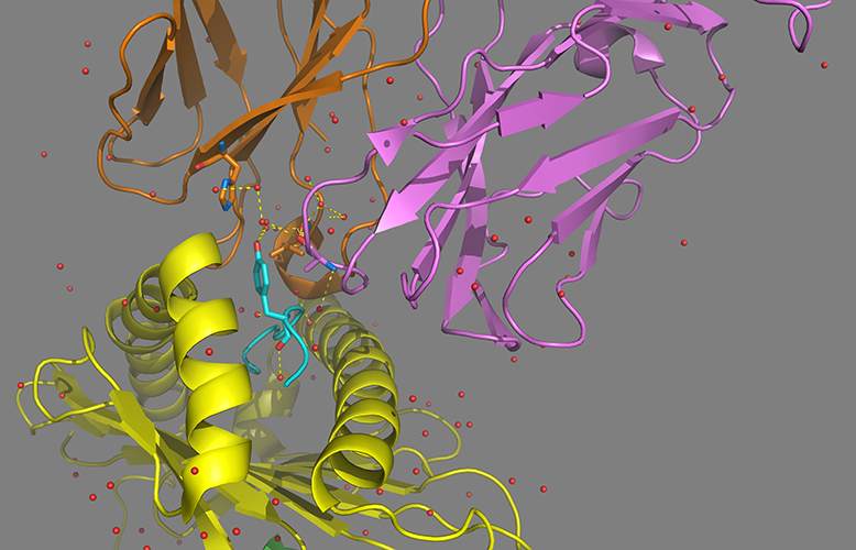 Zhiping Weng Lab - Biochemistry & Molecular Pharmacology UMassMed